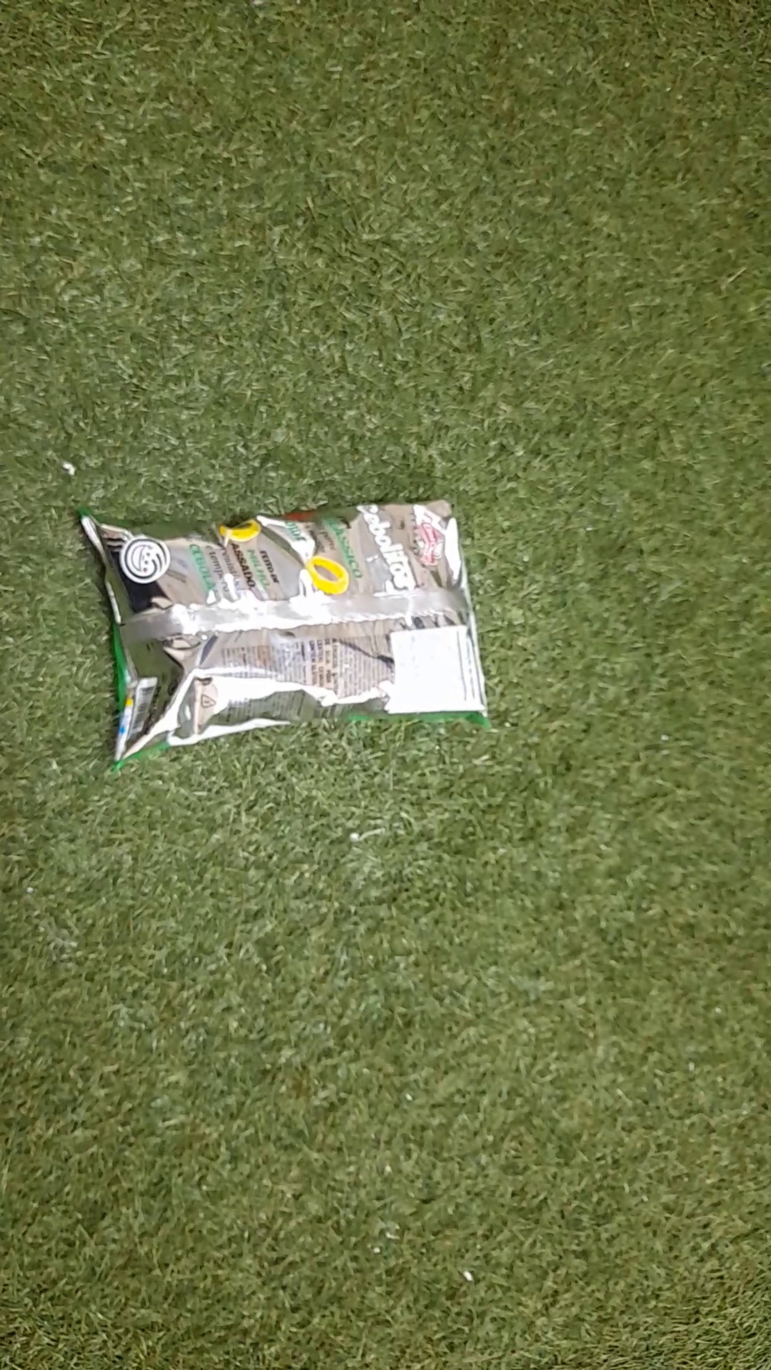 Hera Vision Chips Object Detection Dataset By Daniella Camargo 