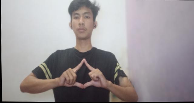 Bisindo Object Detection Model By Sijewi