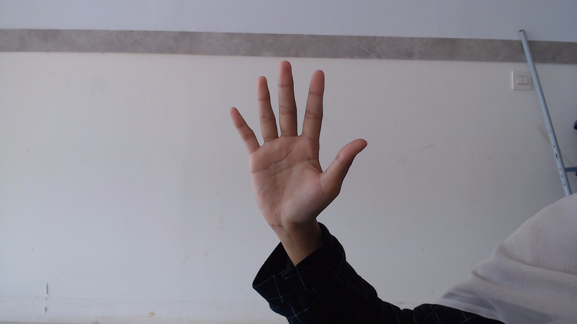 Deteksi Gestur Tangan Object Detection Model by farming robot