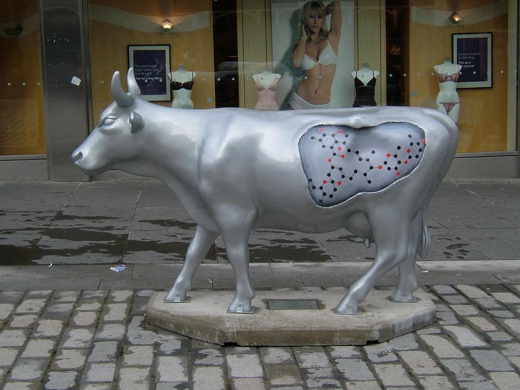 Cattle Dataset Object Detection Dataset By Mateus Modesto