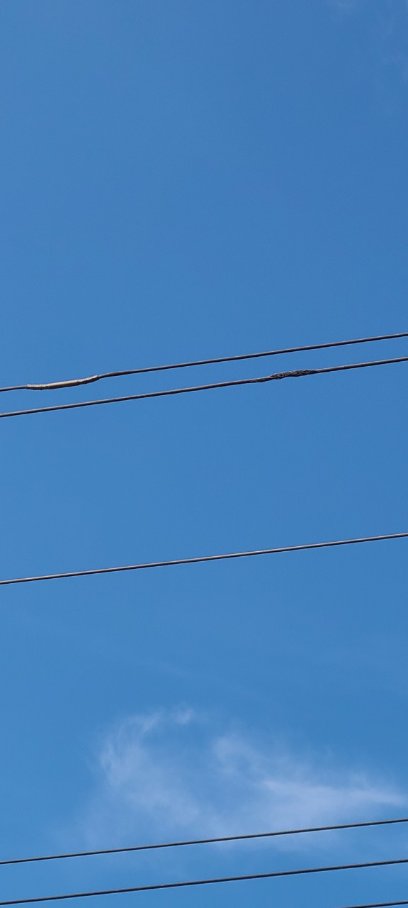 mnoi_tt Object Detection Dataset by Chu Prong