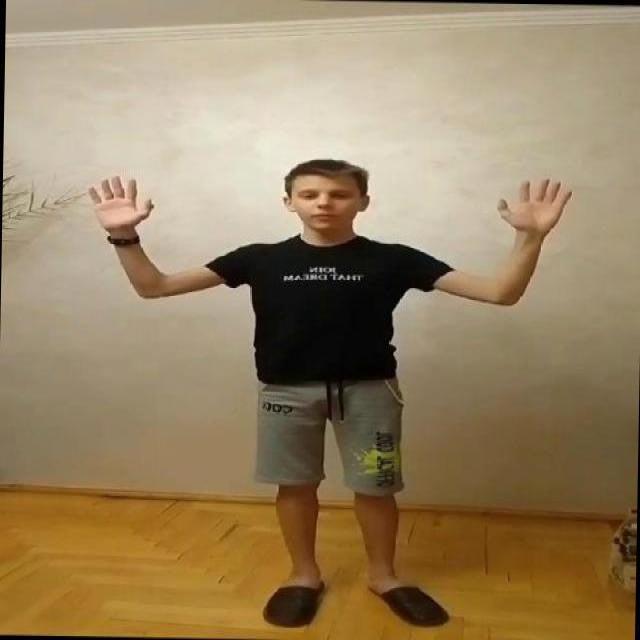 body segmentation additional Instance Segmentation Dataset by Projects