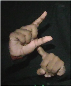 Indian Sign Language Object Detection Dataset and Pre-Trained Model by Indian Sign Language