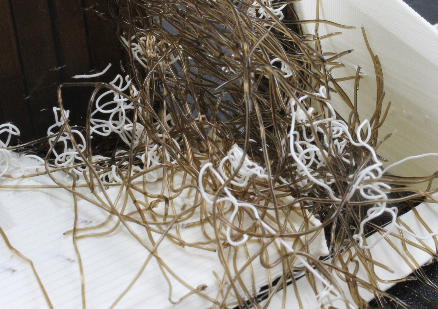 Spaghetti Object Detection Dataset by Stringing