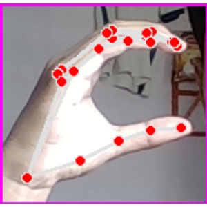 How to Use the Hand Sign Detection Object Detection API