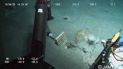 Underwater Dataset Object Detection Dataset by Fuad