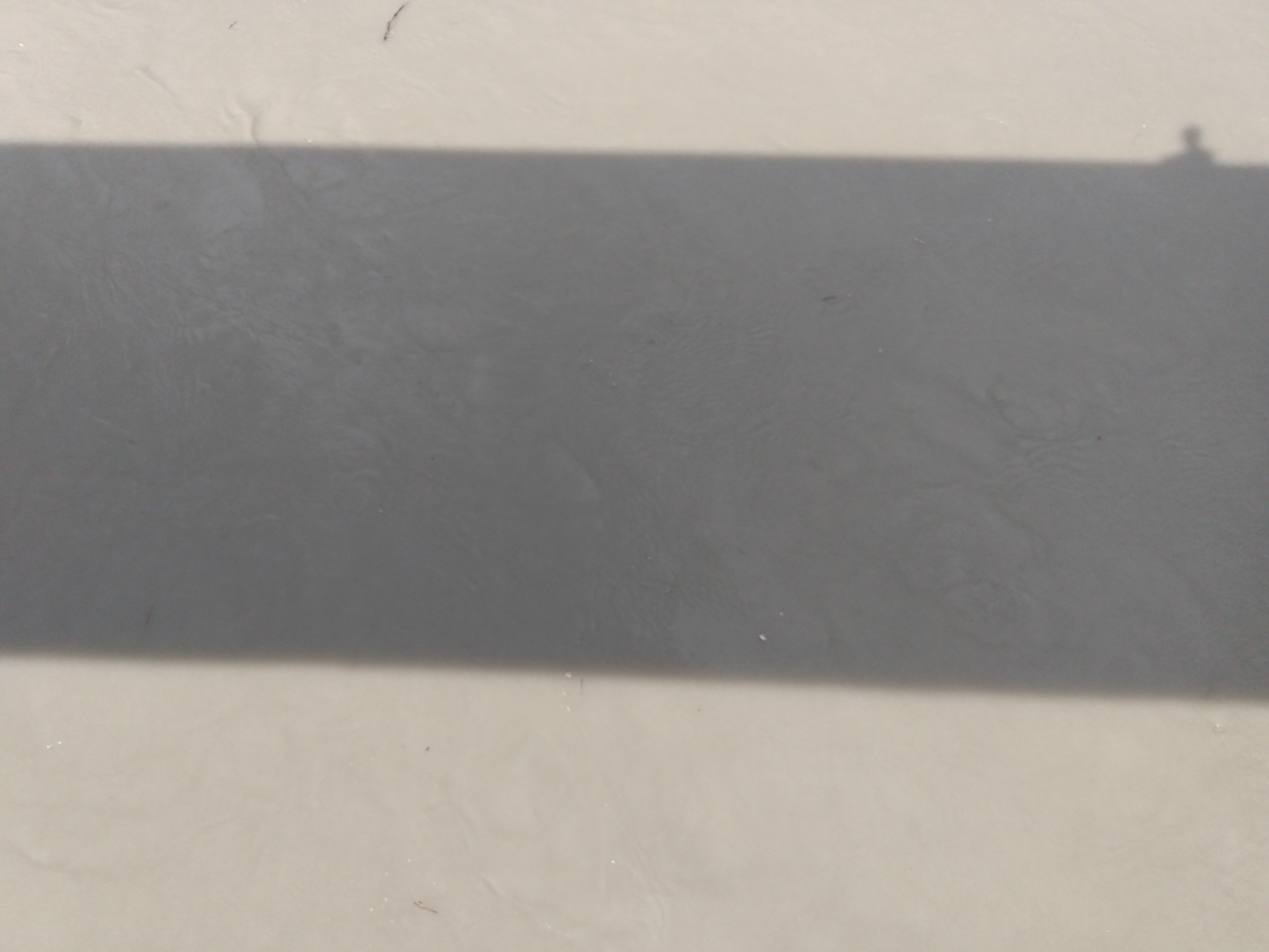Wood Segmentation Instance Segmentation Model by flood detection yolo