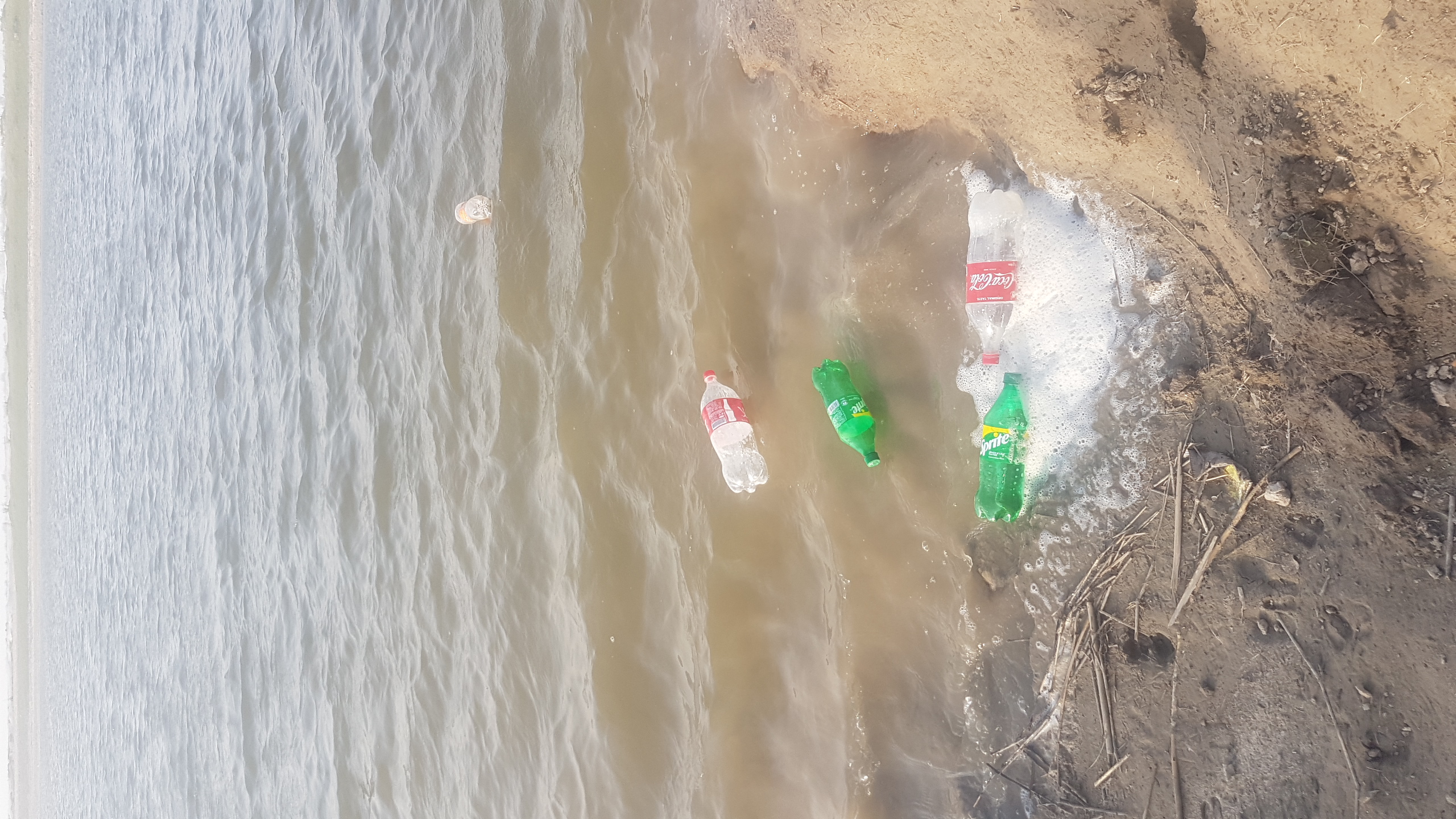 Top Botol Datasets and Models | Roboflow Universe