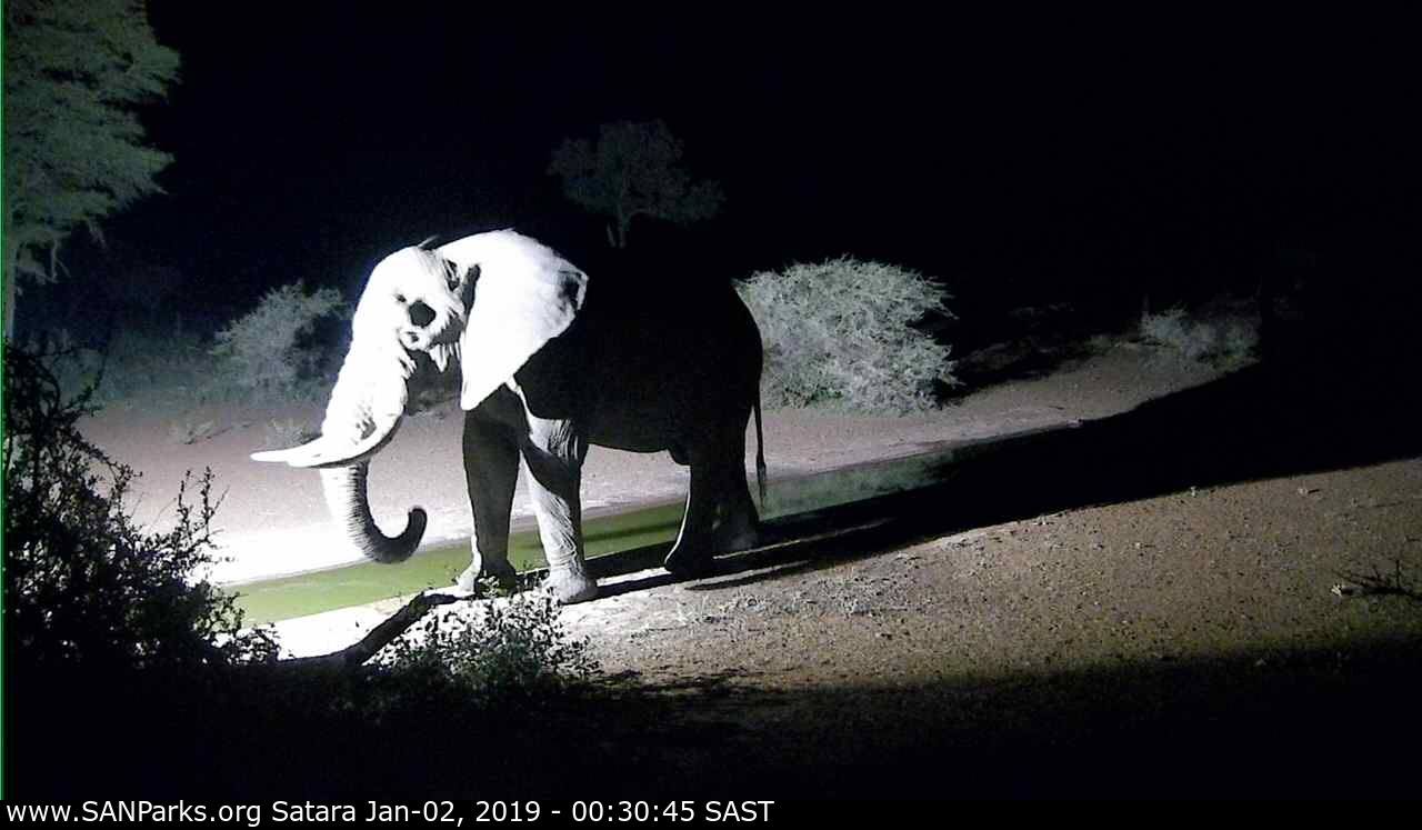 Wildlife Recognition Object Detection Dataset By Kruger