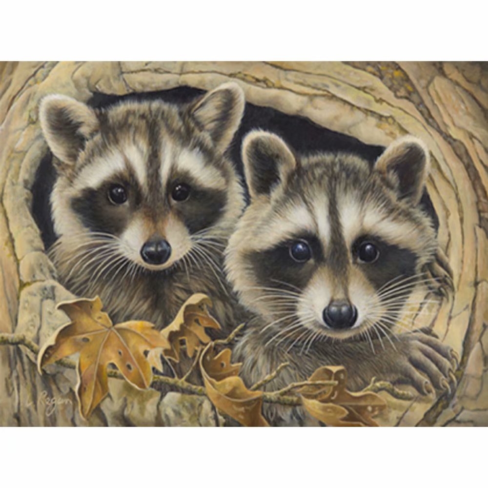 Raccoons Faces Object Detection Dataset by Project1373