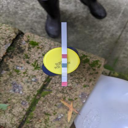 Strip Square Detection Object Detection Model by MEDGAG