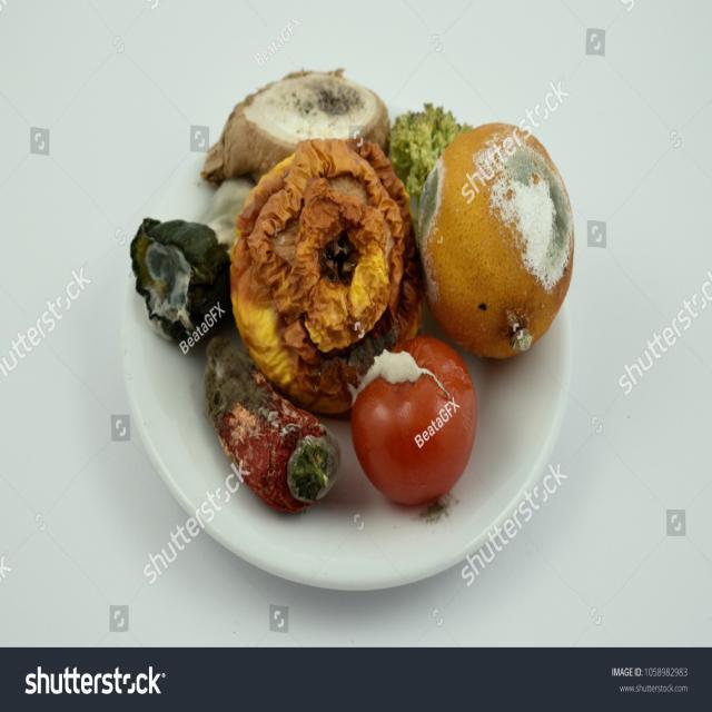 food-waste-classification-2 Object Detection Dataset by Food Waste