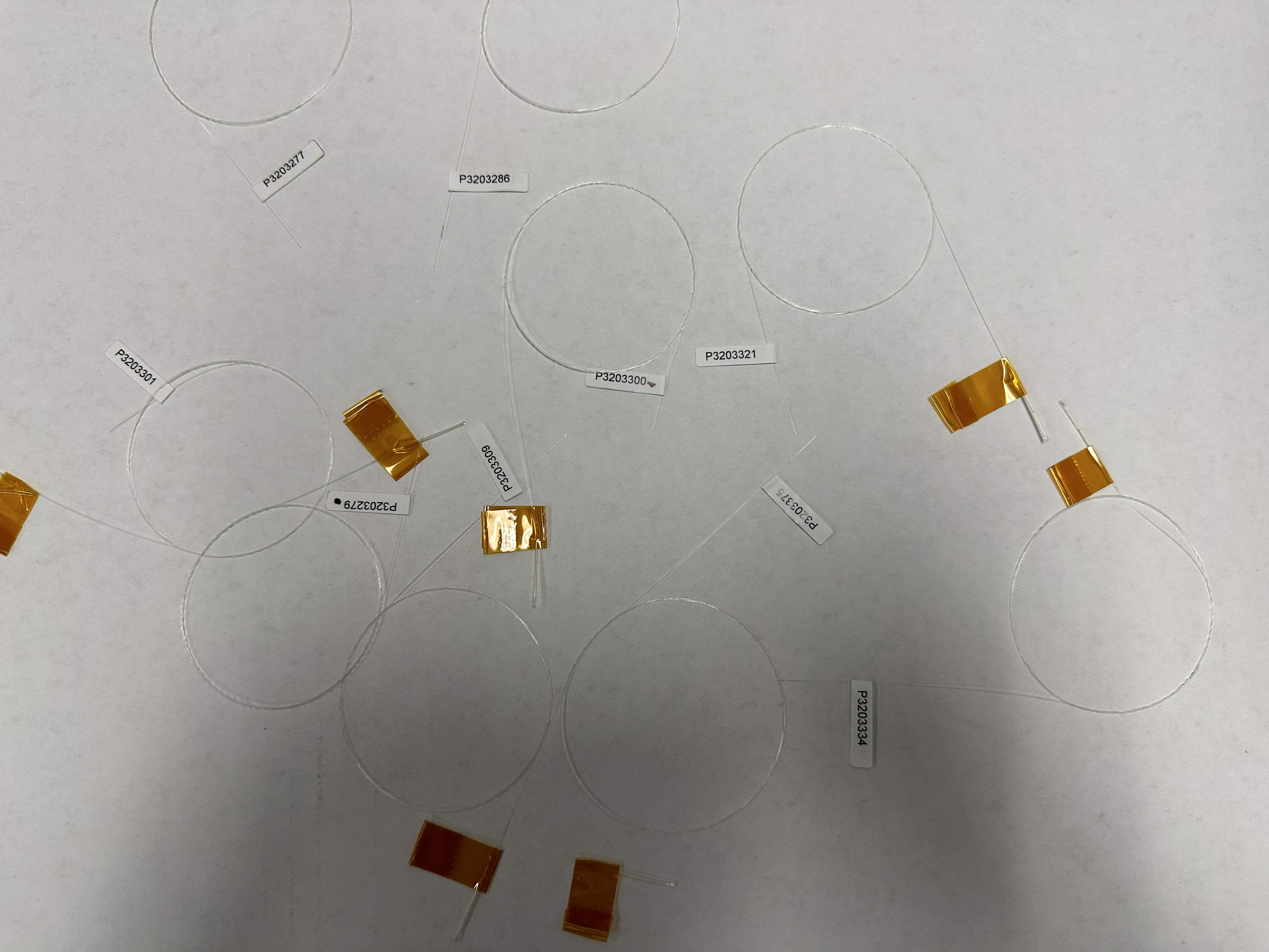 SN Labels Object Detection Dataset by SNlabels