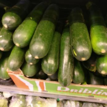 Object detection Object Detection Dataset by Harshini