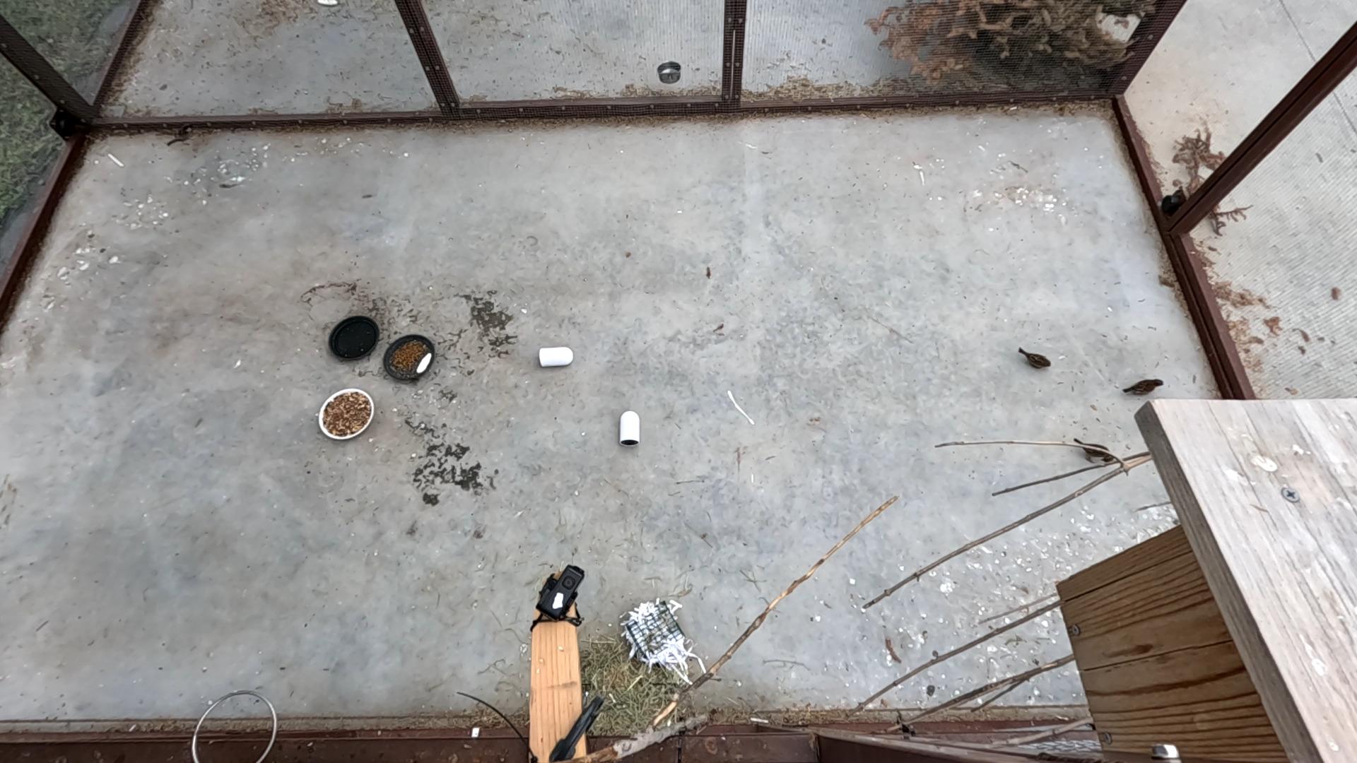 Bird Project Detection Object Detection Dataset By Birdproject