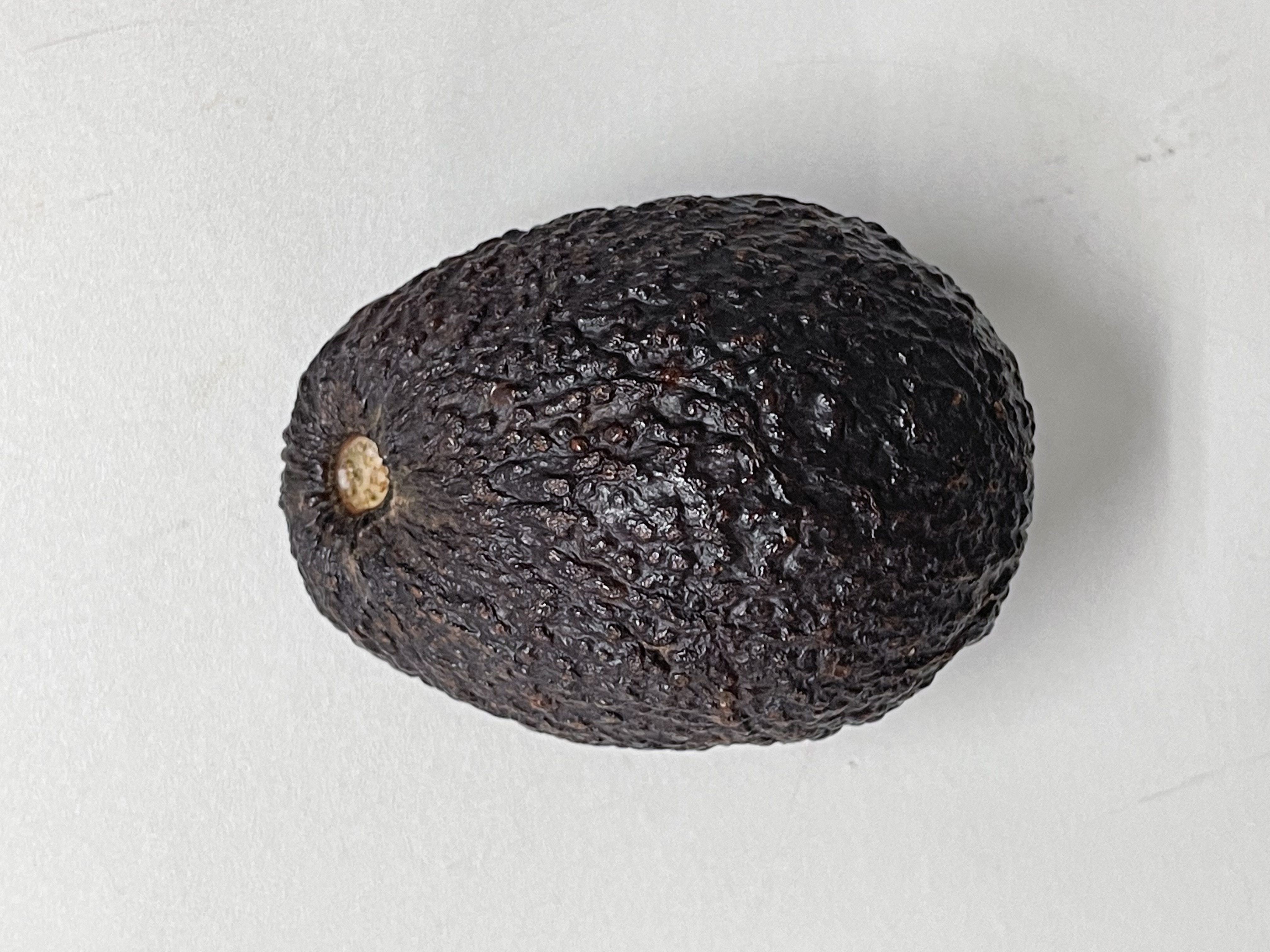 Avocado Project1 Object Detection Dataset And Pre Trained Model By