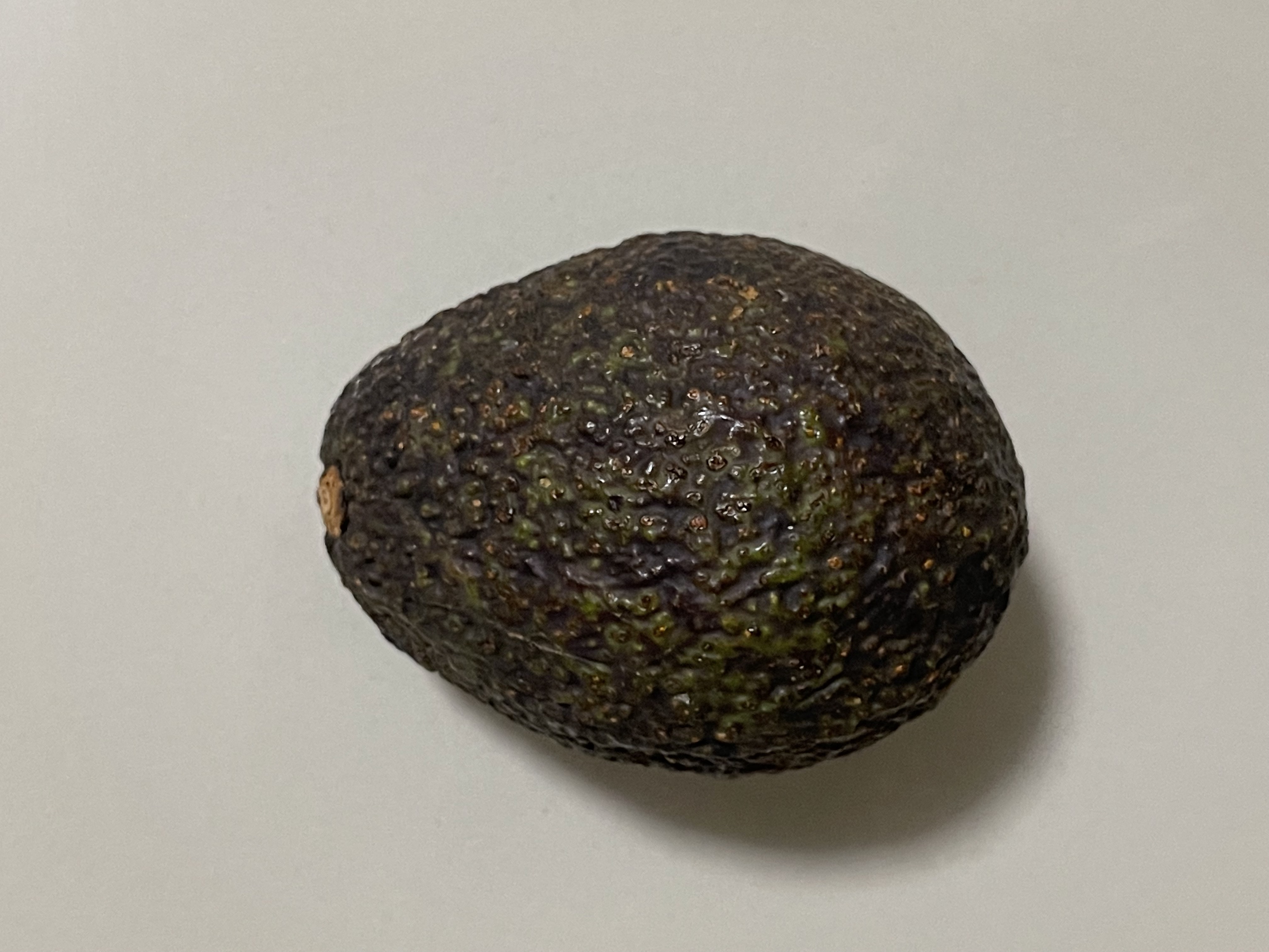 Avocado Train Object Detection Dataset By Avocadoproject
