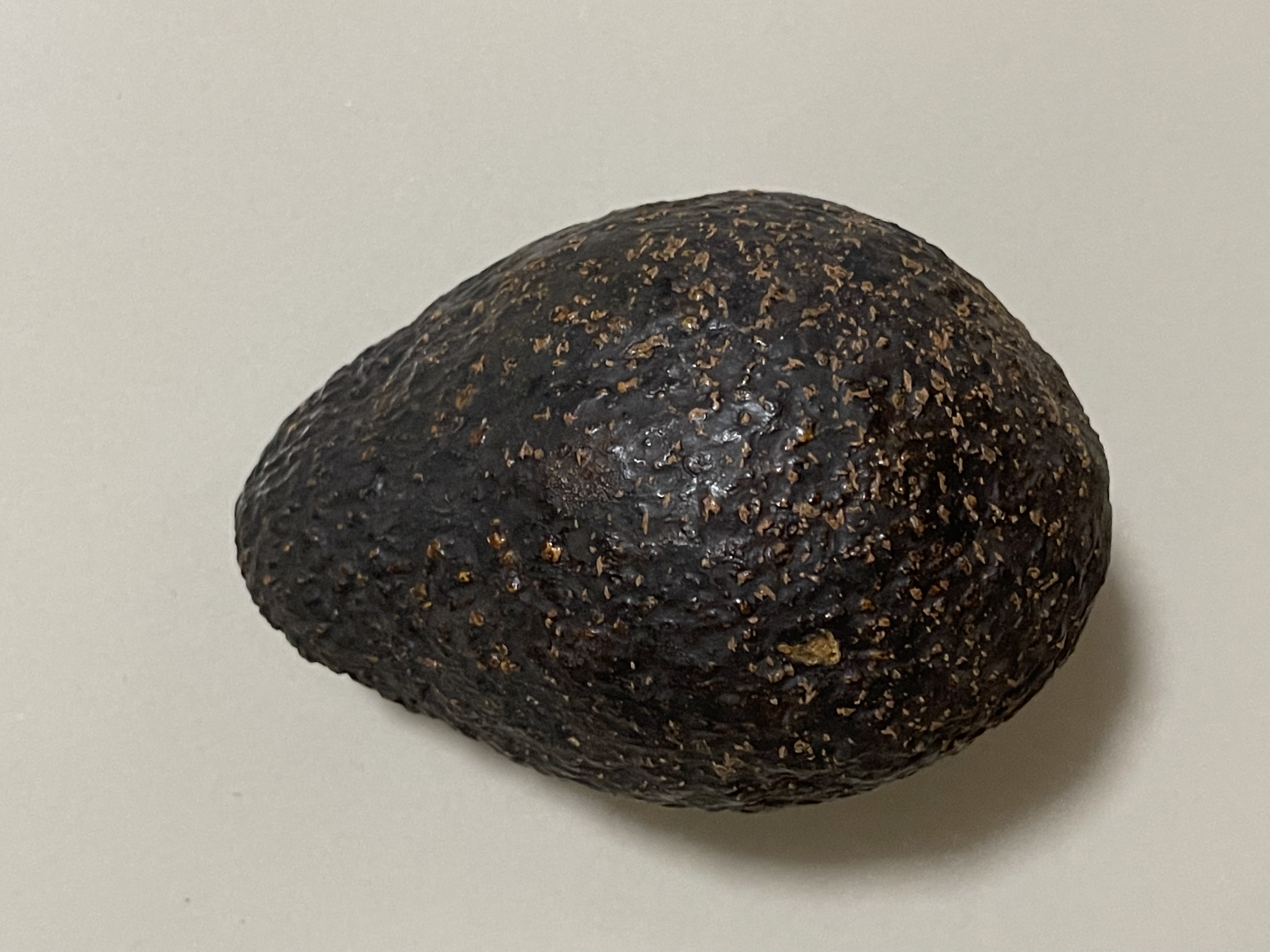 Avocado Project Object Detection Dataset By Avocadoproject