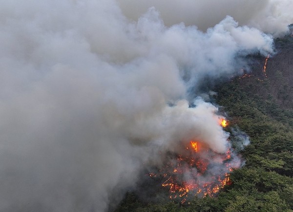 fire!!!! Object Detection Model by fire works