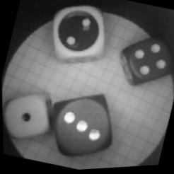 di Object Detection Dataset by convertannotations