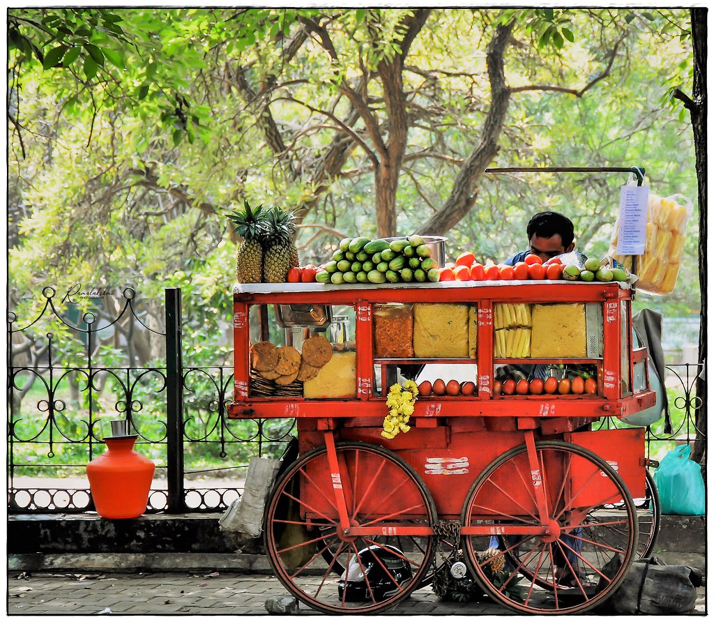 Street Vendors India Object Detection Dataset by MIT