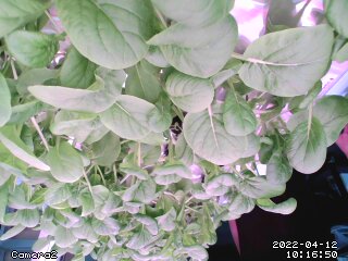 dogtamer Object Detection Dataset and Pre-Trained Model by dogwater