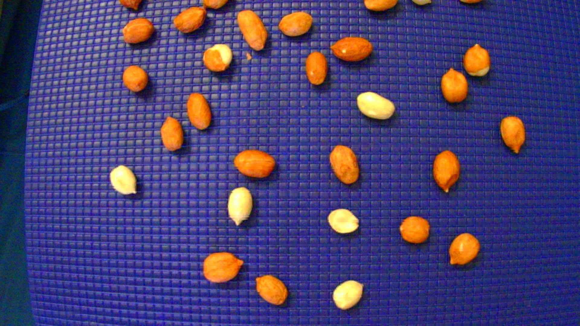 Peanut_Test Object Detection Dataset by CodingMechineer