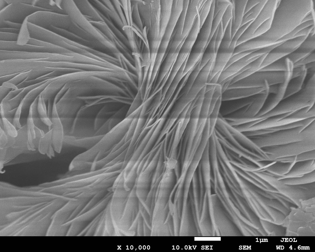 text-bar Instance Segmentation Dataset by hello world