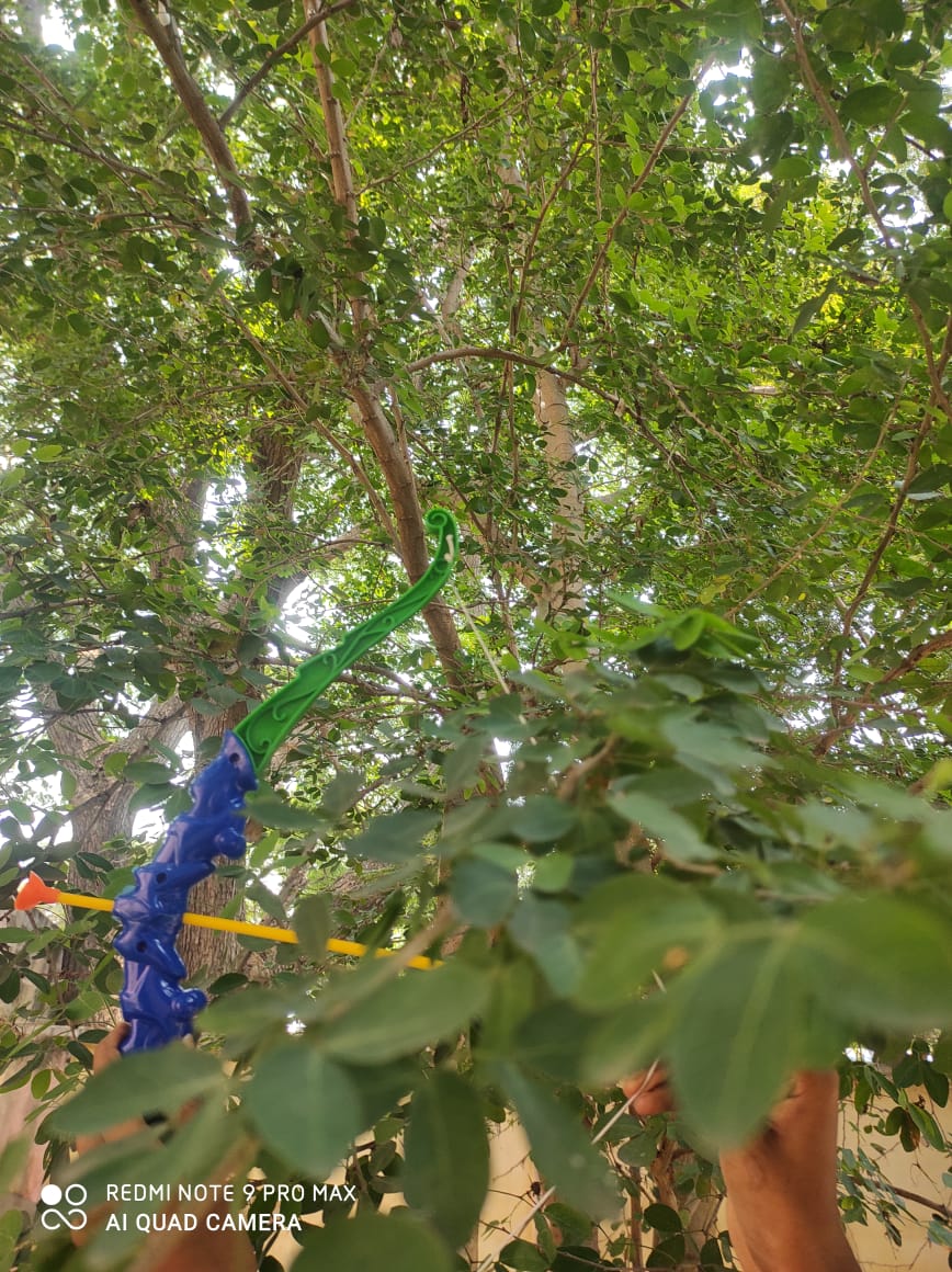 Wildlife And Weapon Detection Object Detection Model By Team Antipoaching