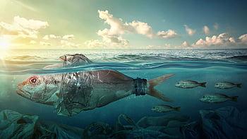 water pollution Object Detection Dataset by student