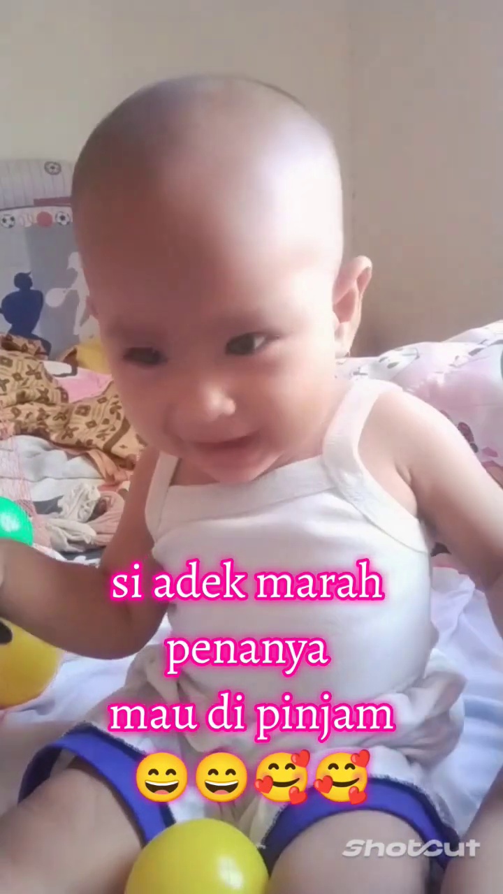 haha Object Detection Dataset and Pre-Trained Model by Ghiyats Naufal Workspace