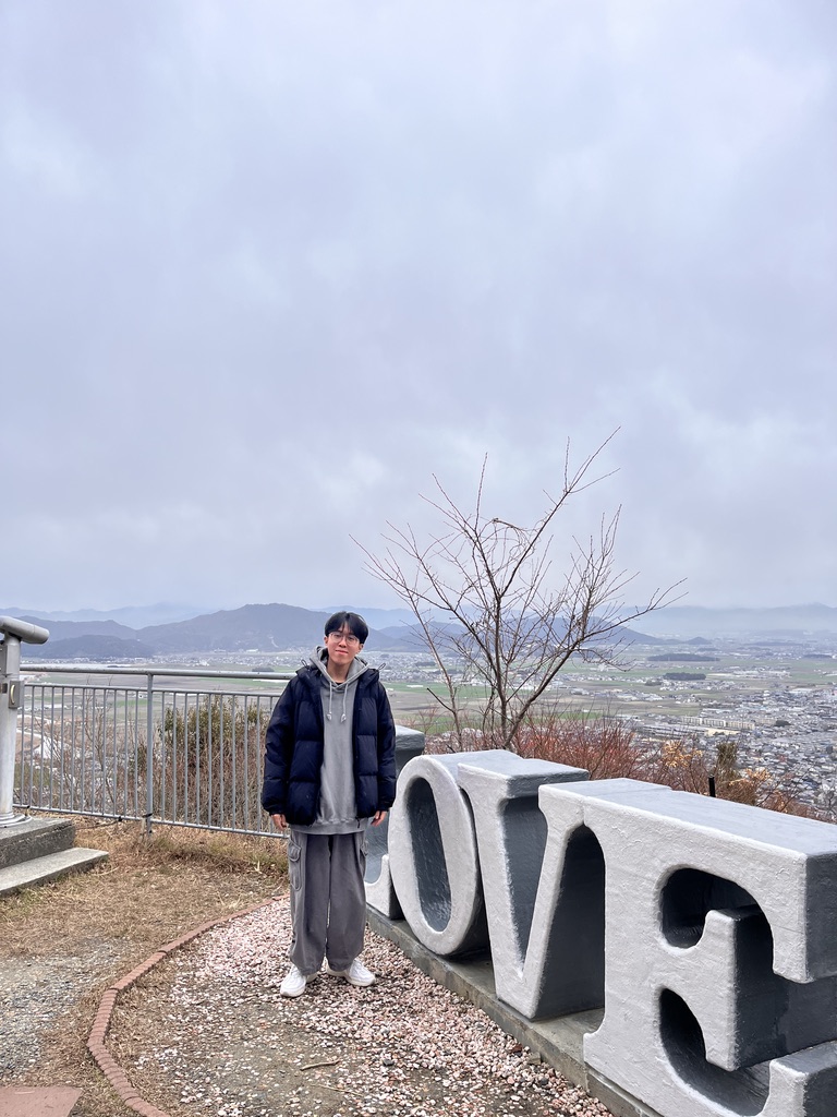 face Object Detection Dataset by face