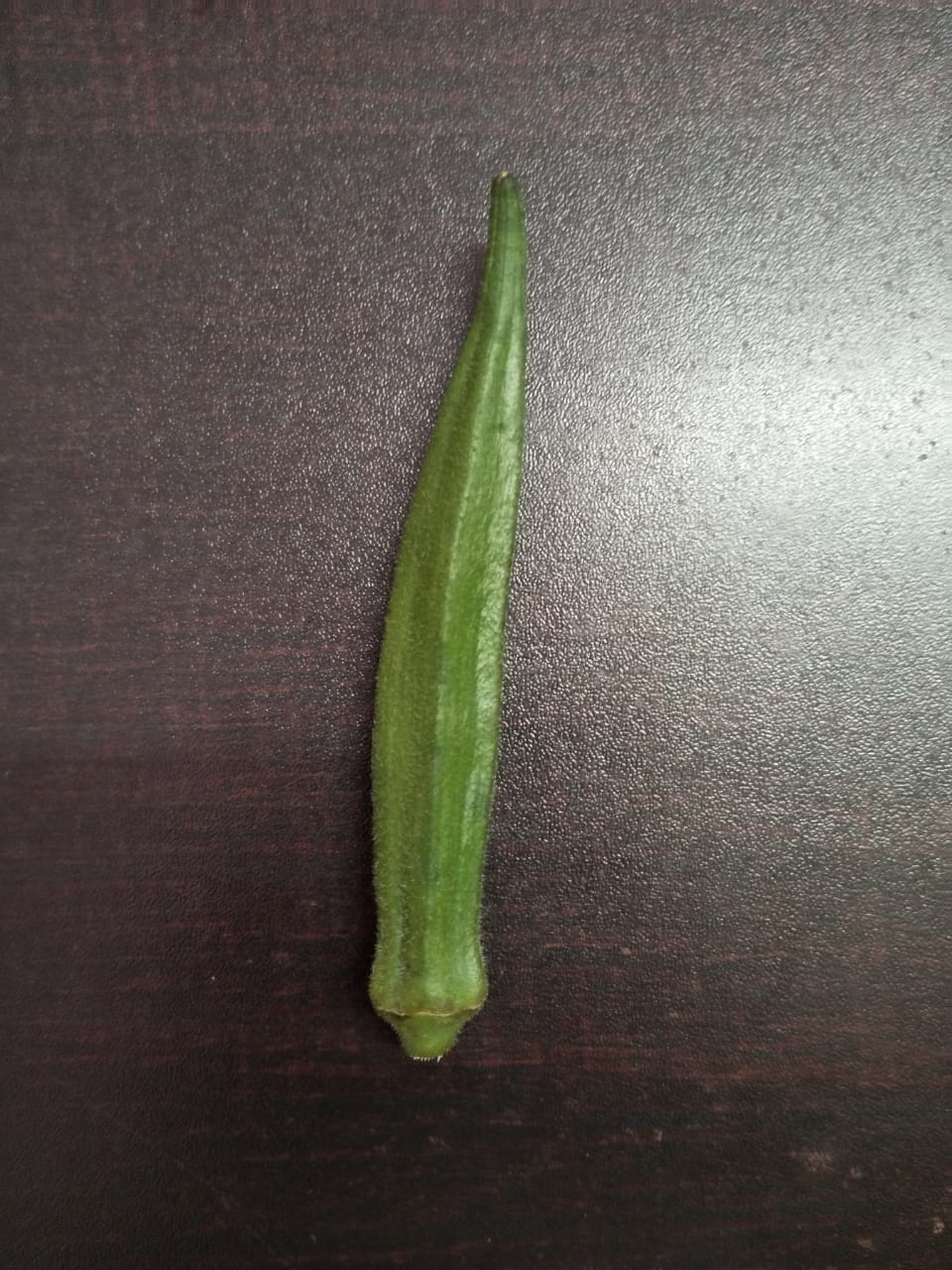 Vegetable detection Object Detection Model by nikk