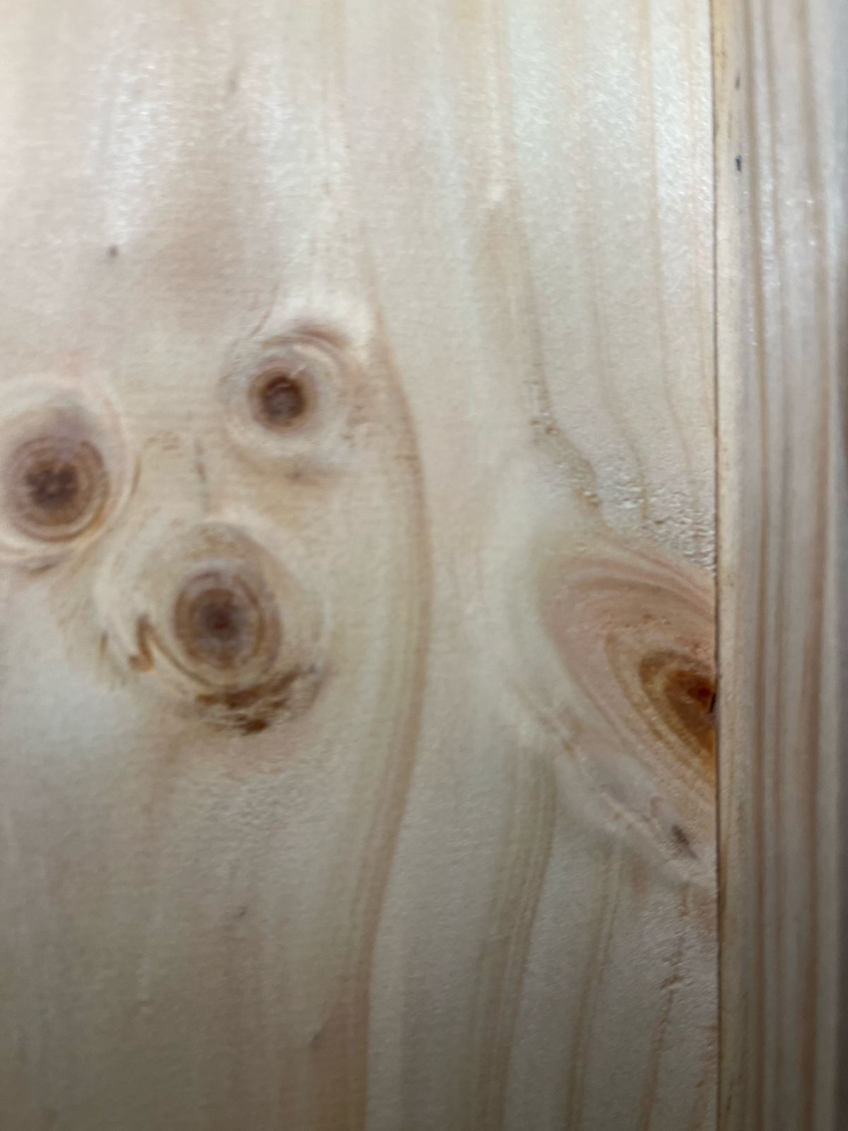 Clasificado Pato 2 0 Object Detection Dataset And Pre Trained Model By Proyecto Clasificacion De