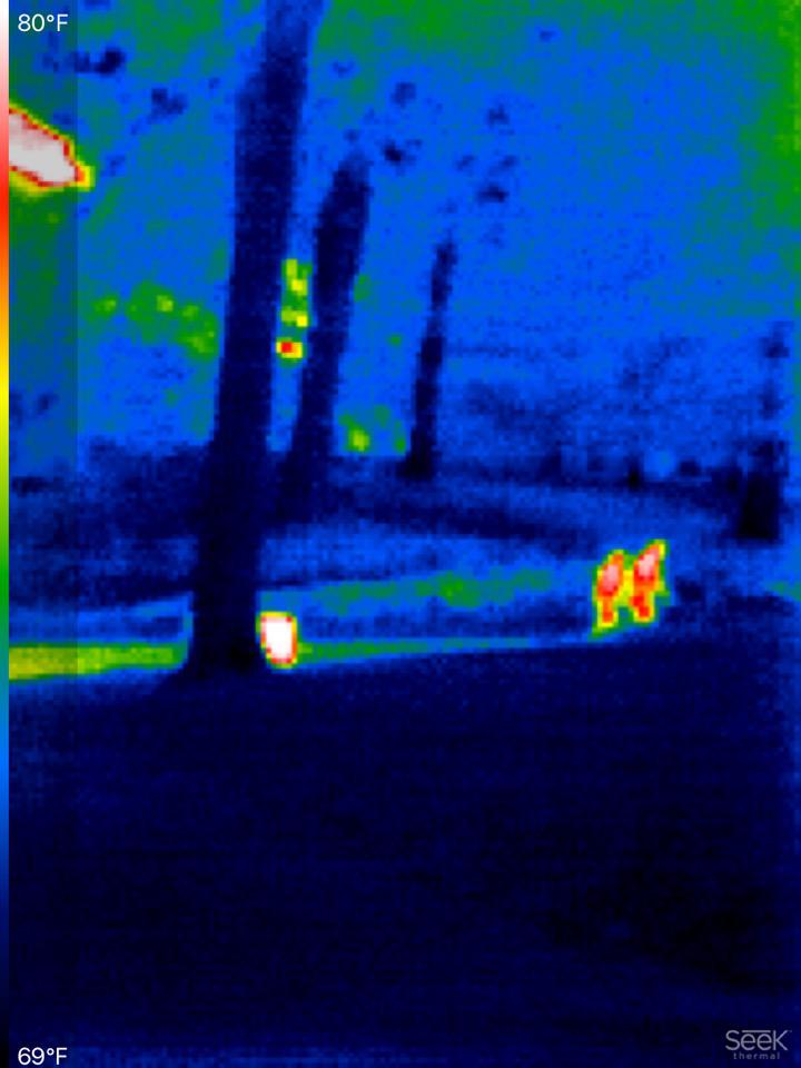 dog-heatmap Object Detection Dataset and Pre-Trained Model by Doctorado