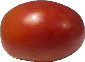 Tomato Object Detection Dataset by Vegetable