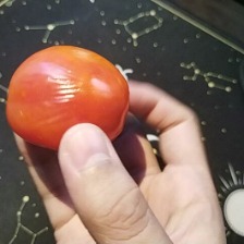 Tomato Quality Computer Vision Dataset by Vegetable