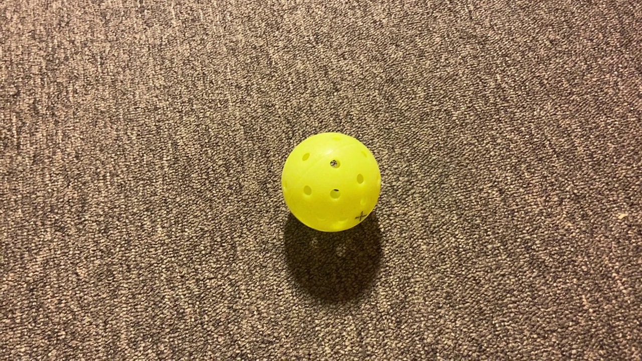 pickle ball Object Detection Dataset by Nick Smith