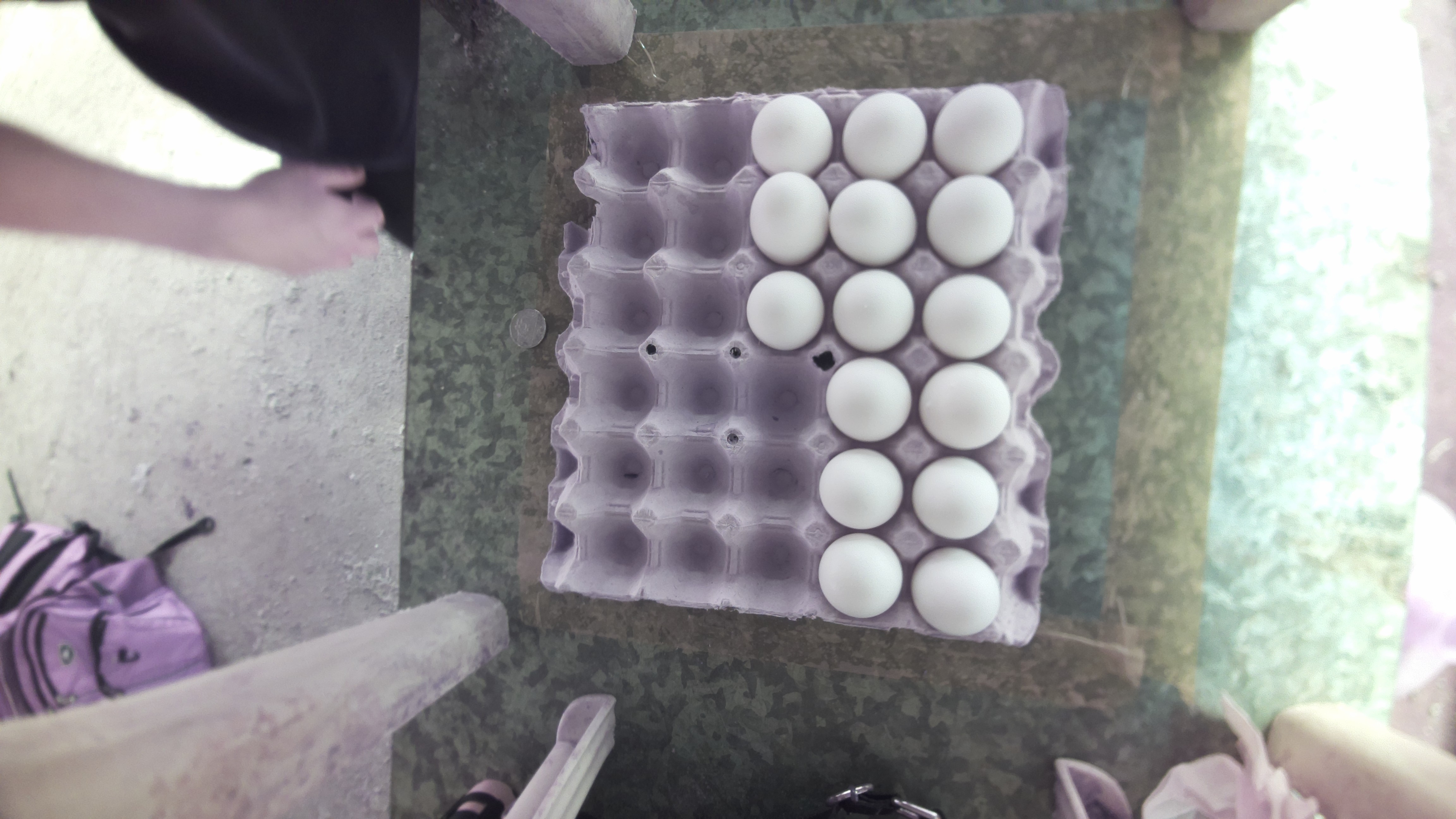 Yolov11 Eggs Object Detection Dataset By Moe