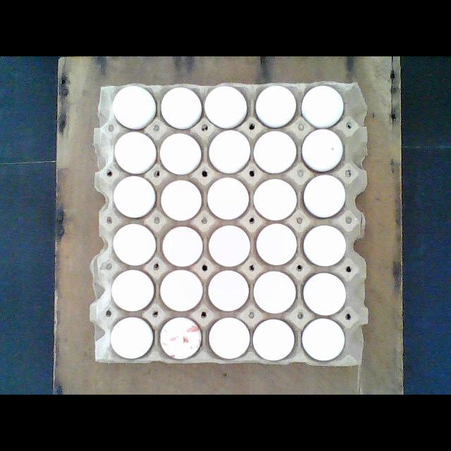 yolov10-eggs-det Instance Segmentation Dataset by moe