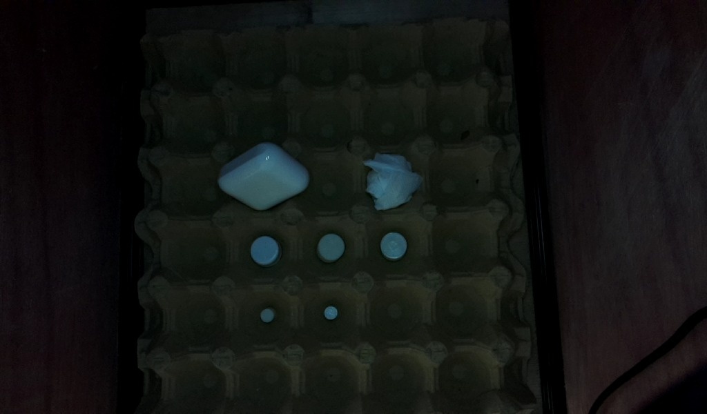 yolo11-seg Instance Segmentation Model by moe