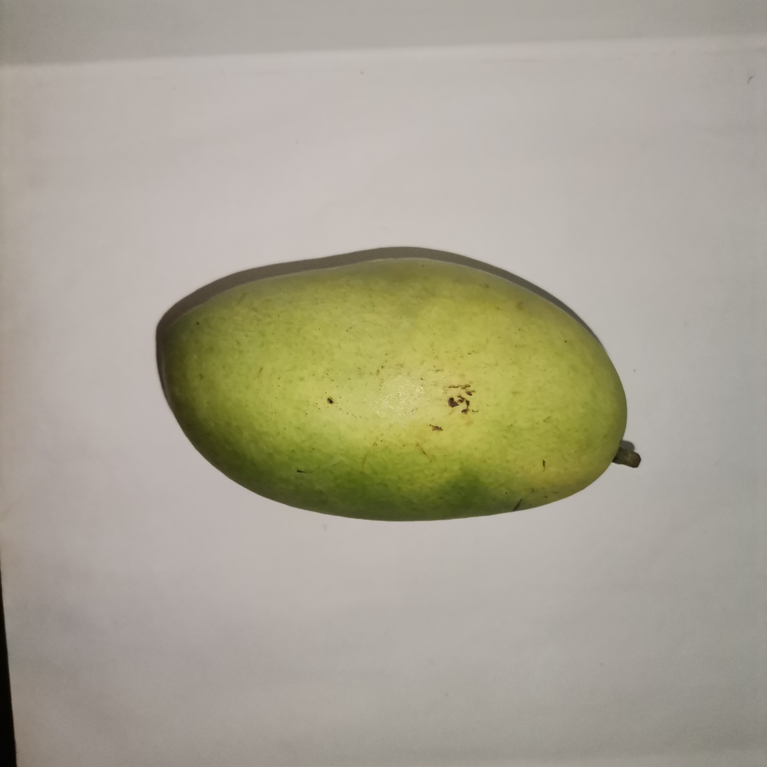 Mango Class - Roboflow Universe