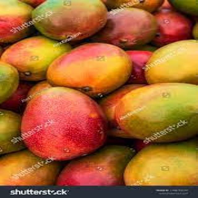 Project Computer vision Fruit Instance Segmentation Model by Wisd