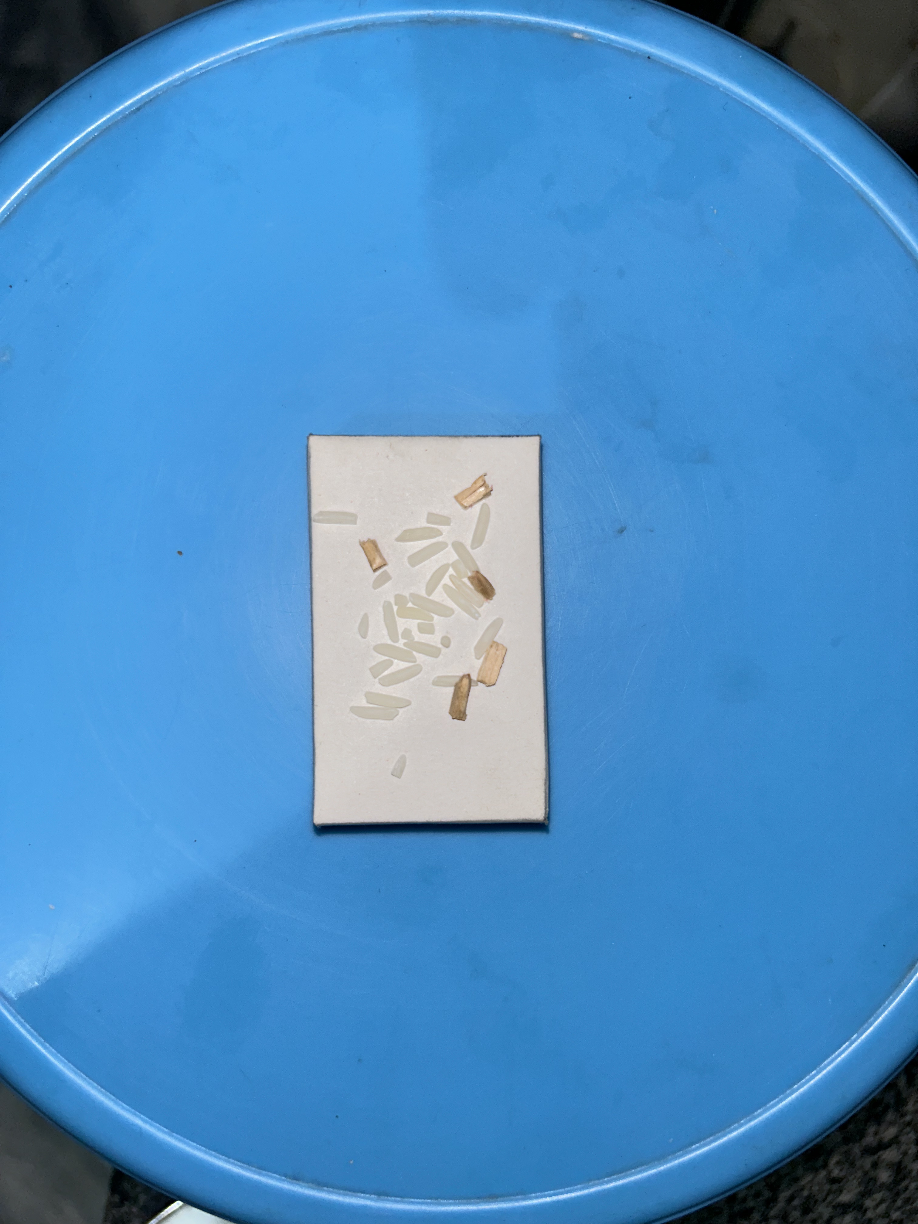 Capstone Object Detection Model by Capstone