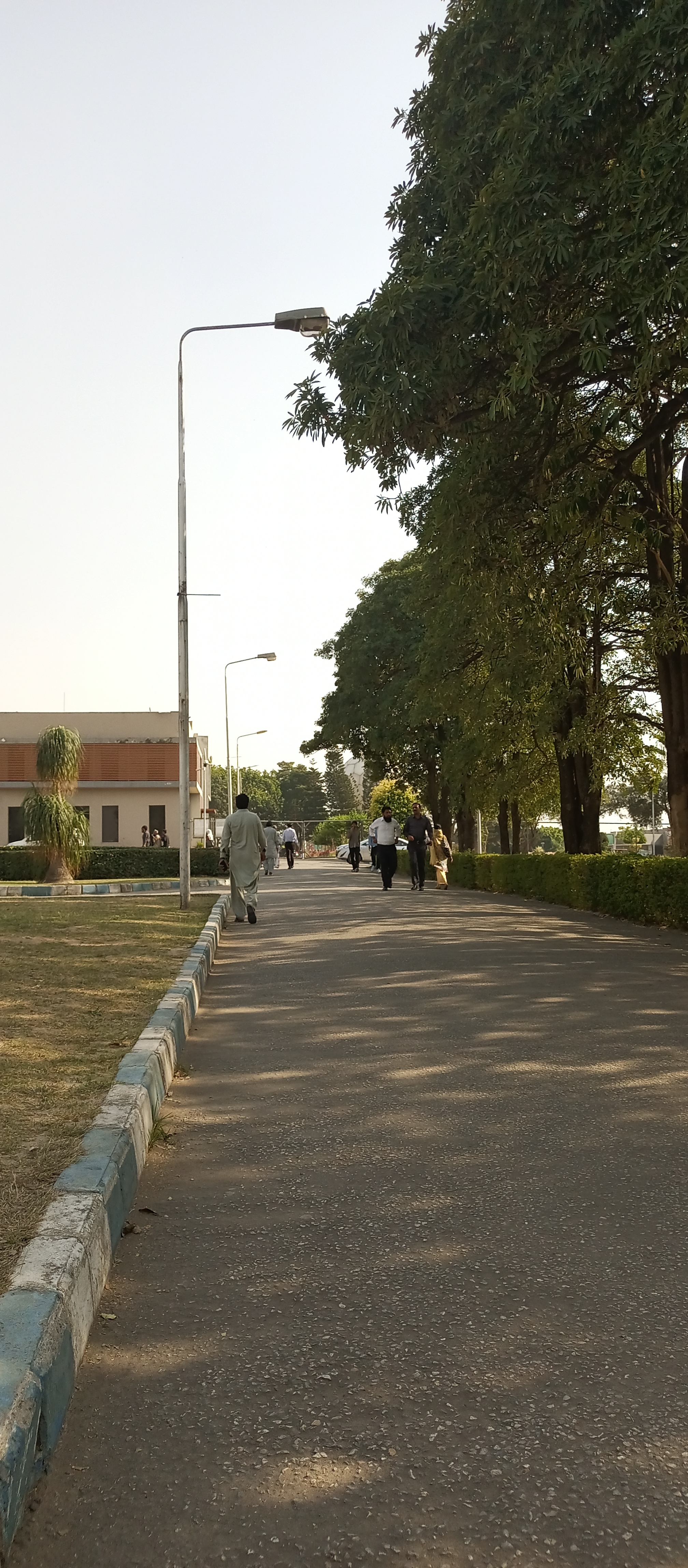 Training Camp - Roboflow Universe