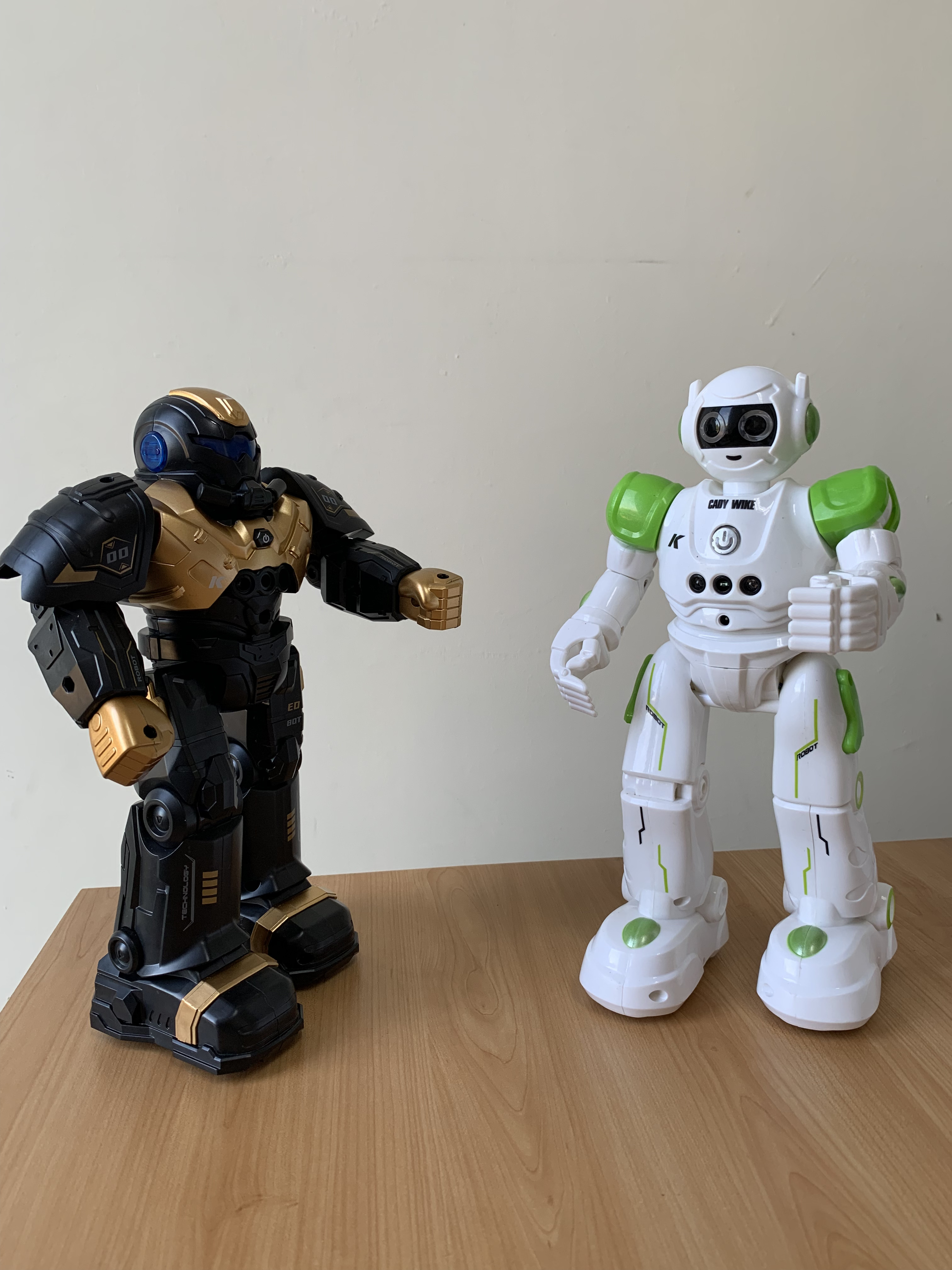 Dataset_Robot_v1 Object Detection Dataset by PKM