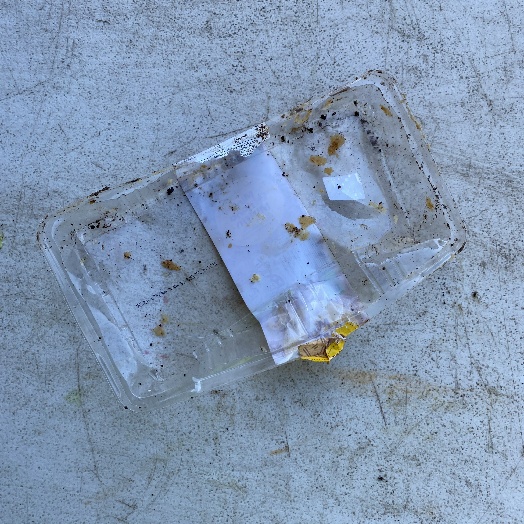 experiment Instance Segmentation Dataset by Waste Segmentation