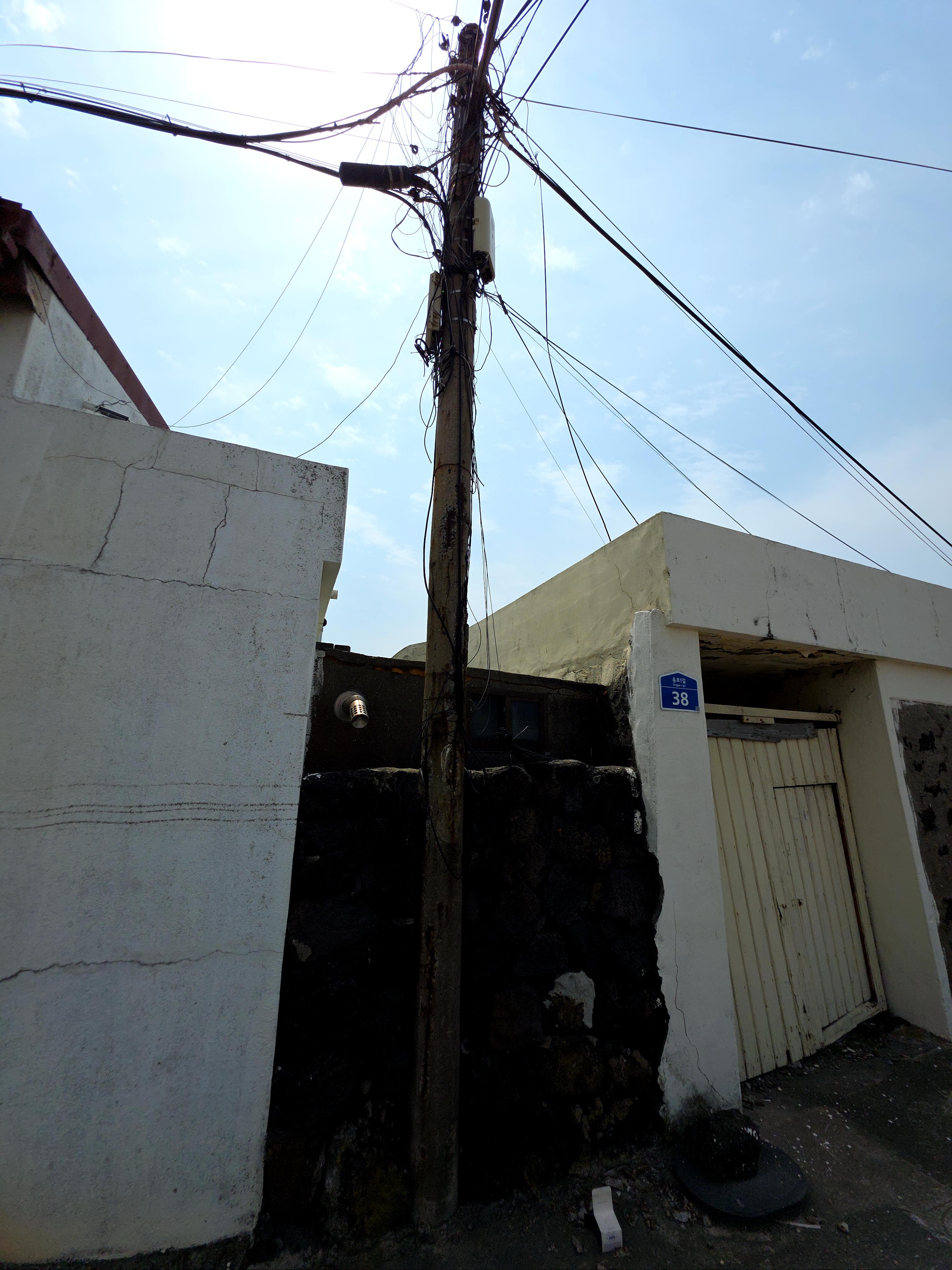 dama Instance Segmentation Dataset by telecom