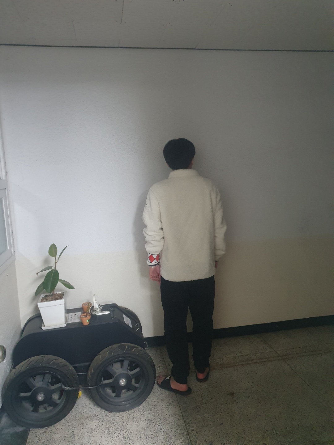 konga 4 Object Detection Dataset and Pre-Trained Model by project-ieiyk