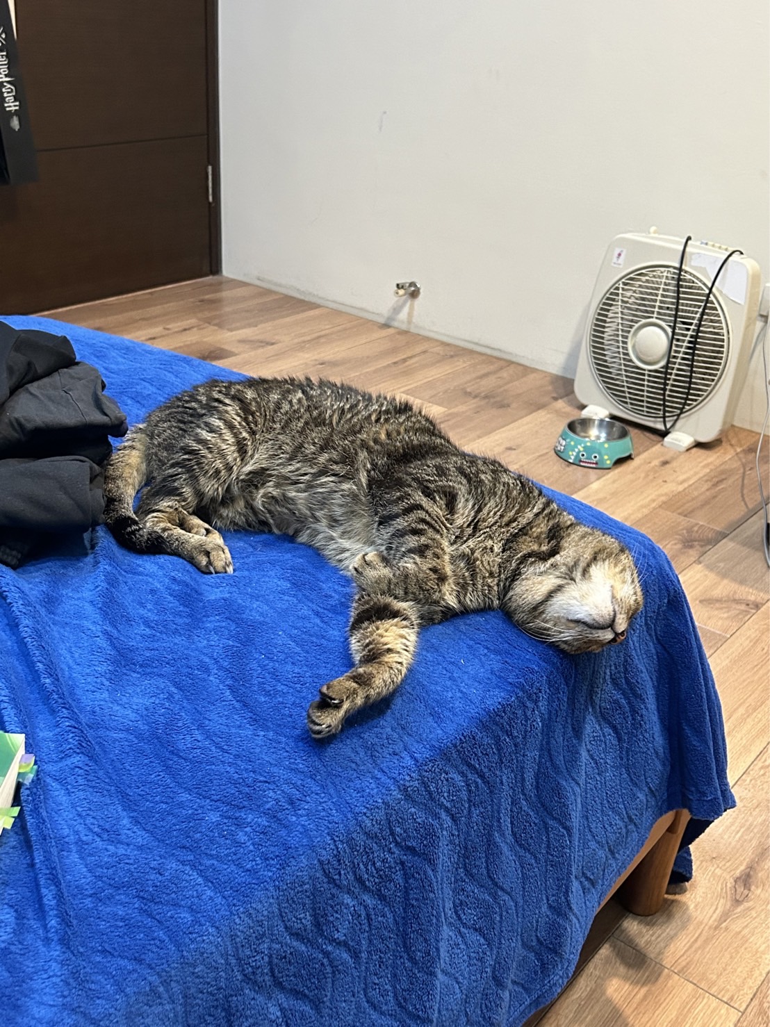 Pin Yan Lai - Roboflow Universe